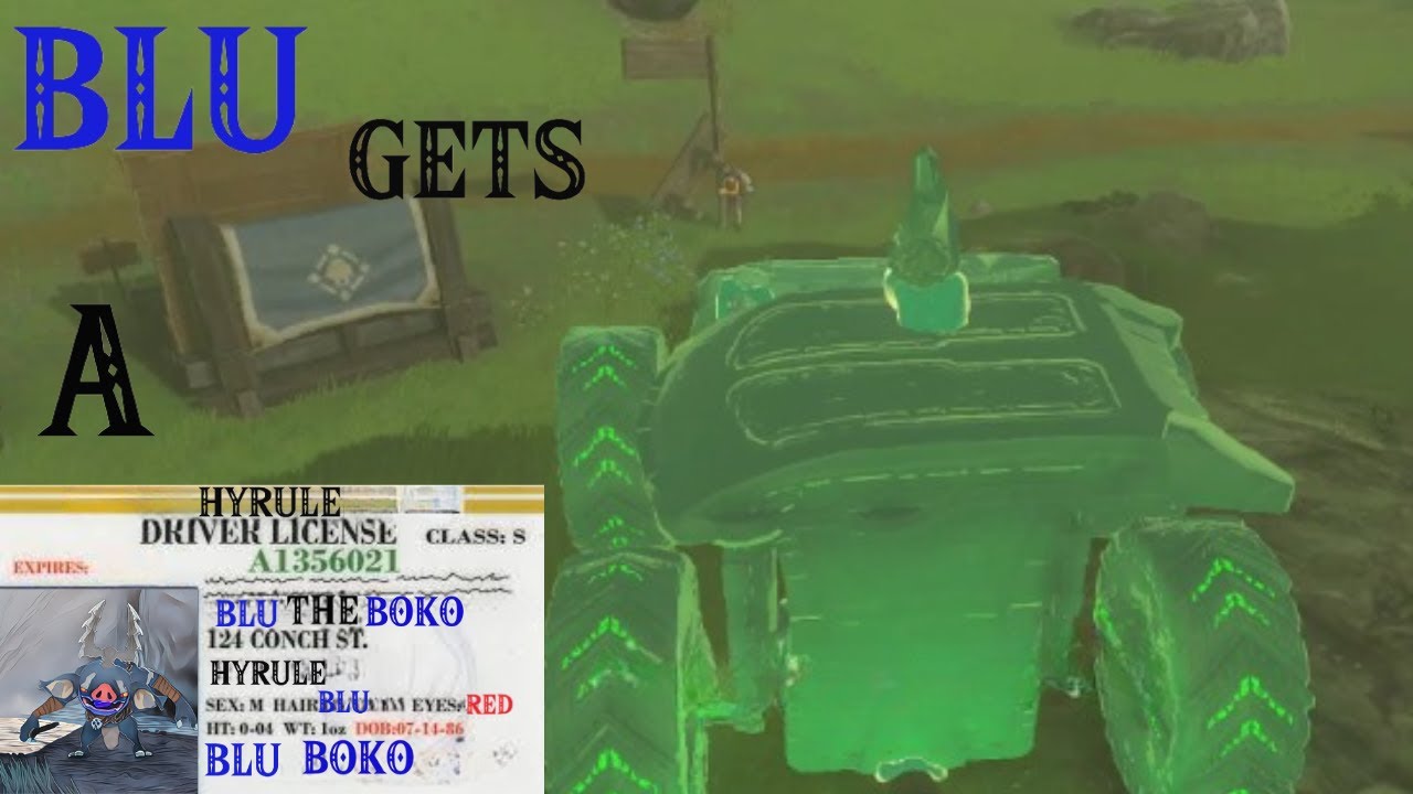 Blu Learns To Drive! In Zelda: Tears of The Kingdom - YouTube