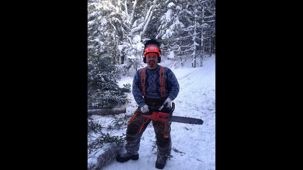 Cutting Logs (First Step towards Cabin Build) - YouTube