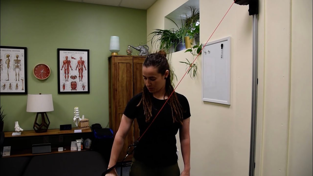 Standing Straight Arm D1 Extension with Cable - YouTube
