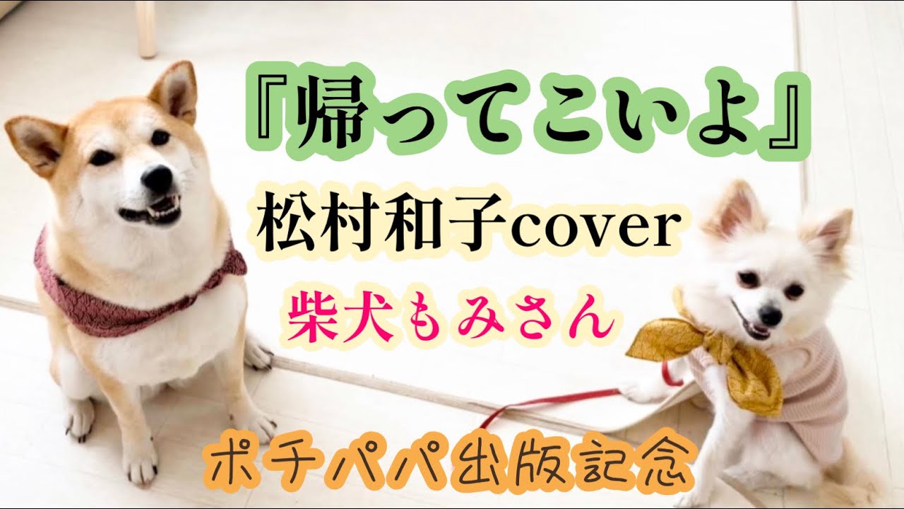 【柴犬 もみさん】ポチパパの躾の本！出版記念！で、犬が歌ってみた。Shiba Inu Momisan sings - YouTube