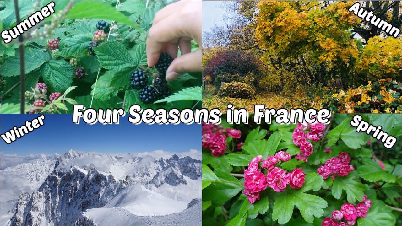 Four Seasons in France || Beautiful Summer, autumn, winter and spring ...