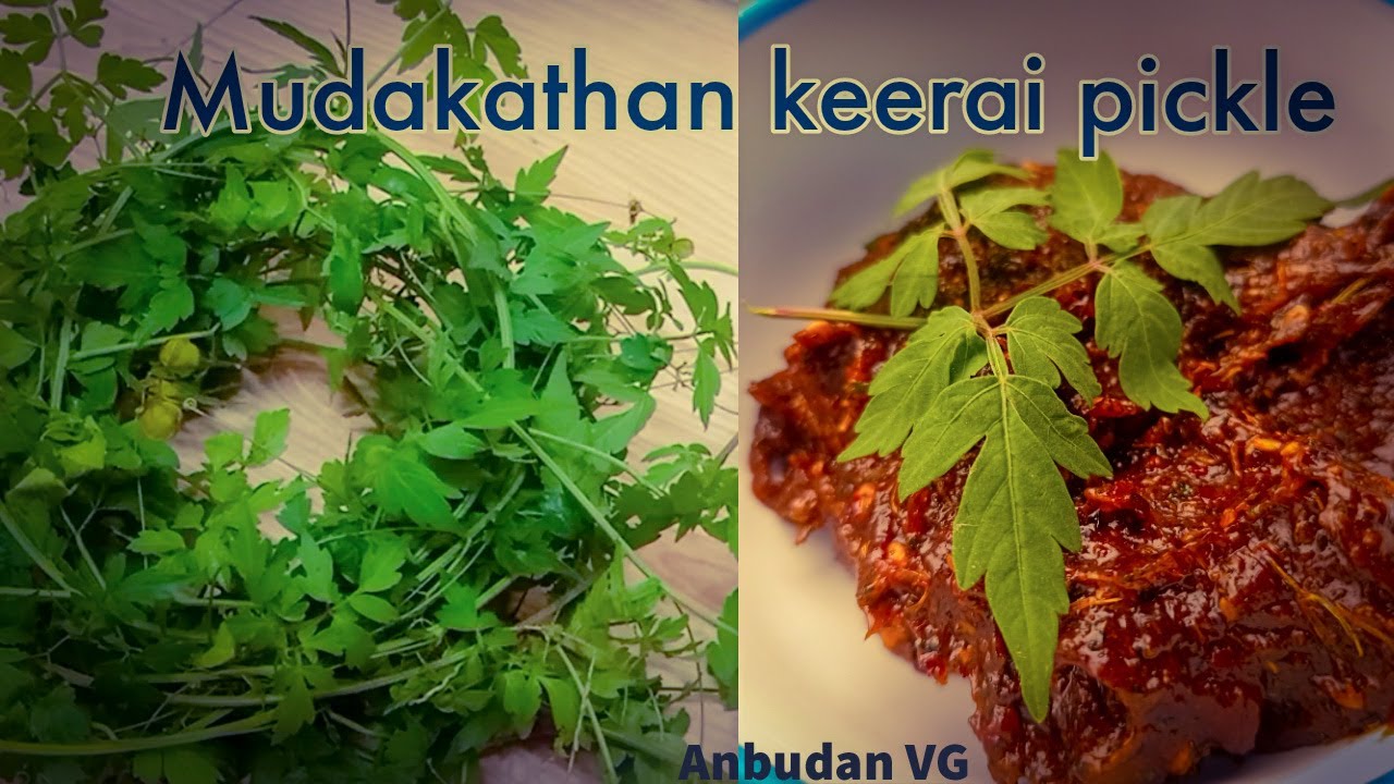 Mudakathan Keerai Pickle | Mudakathan Keerai Recipes | முடக்கத்தான் ...