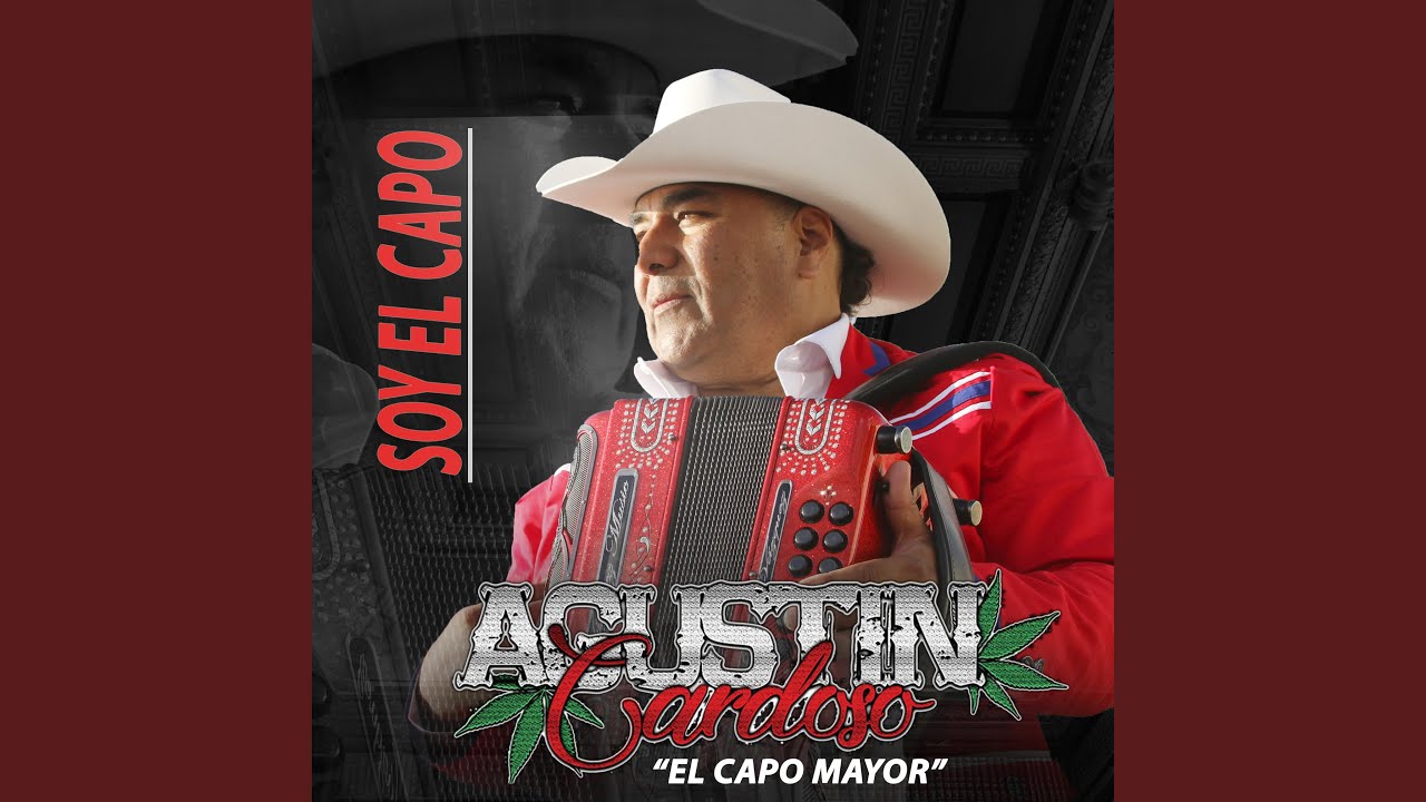 Tingo Li Lingo - YouTube Music