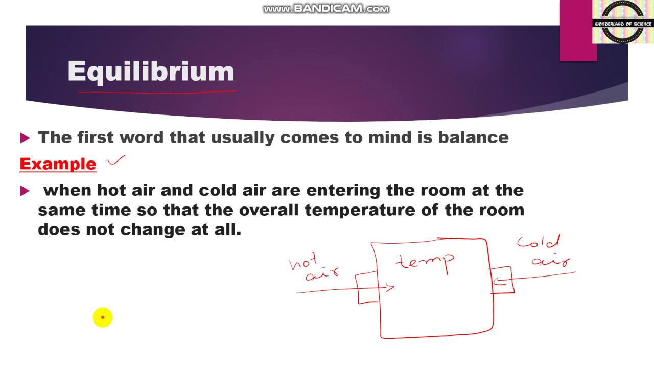 #Equilibrium #Chemical_equilibrium_and_its_types #static_equilibrium ...