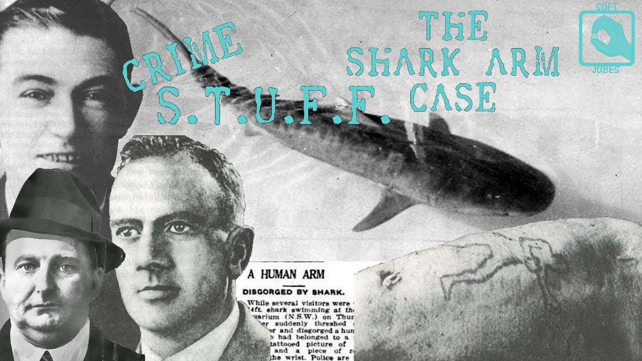 The Shark Arm Case - THE INVINCIBLE MAN - YouTube