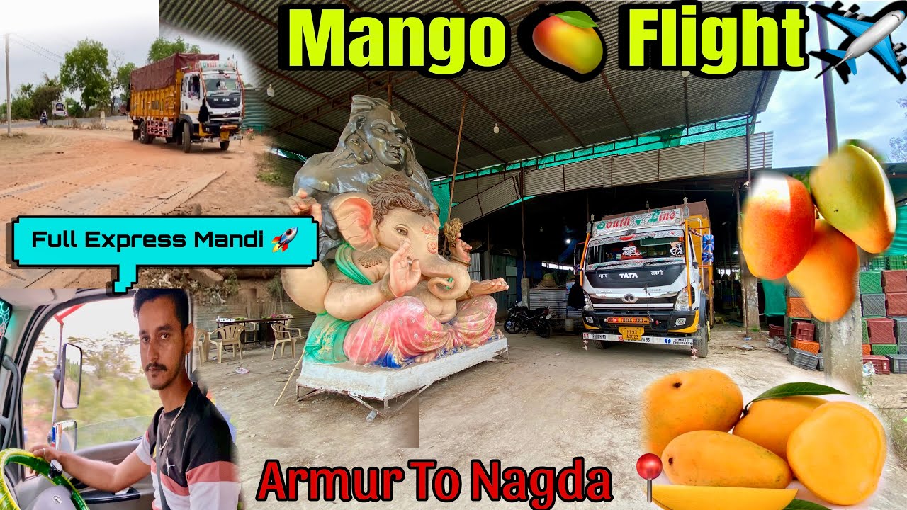 Mango 🥭 Loading Telangana To Madhya Pradesh || Part-1 || Truckers ...