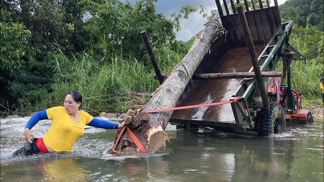 agricultural vehicle. Giant tree drifting in flood water - YouTube