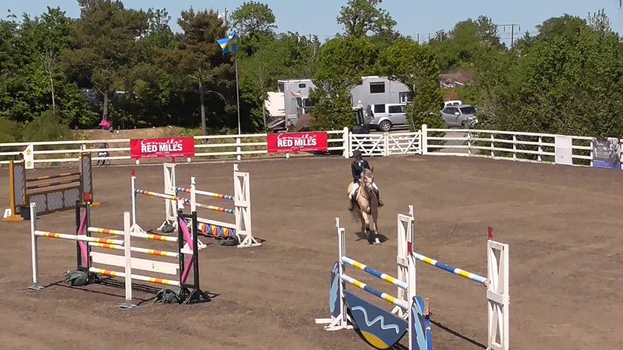 Coilog RDS Q - YouTube