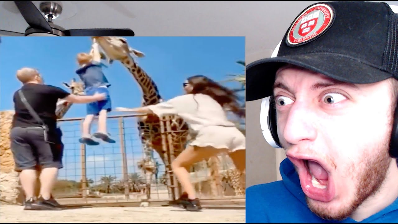 Moments You Must See To Believe REACTION - YouTube
