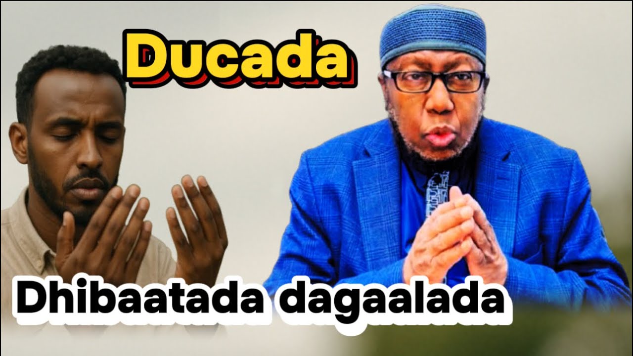 Ducada laga akhristo dhibaatada dagaalada aduunka ka socda sheekh xasan ...