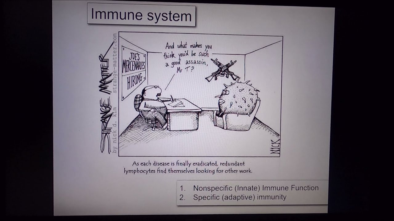 A&P2 lecture 5, Immune system part 1 - YouTube