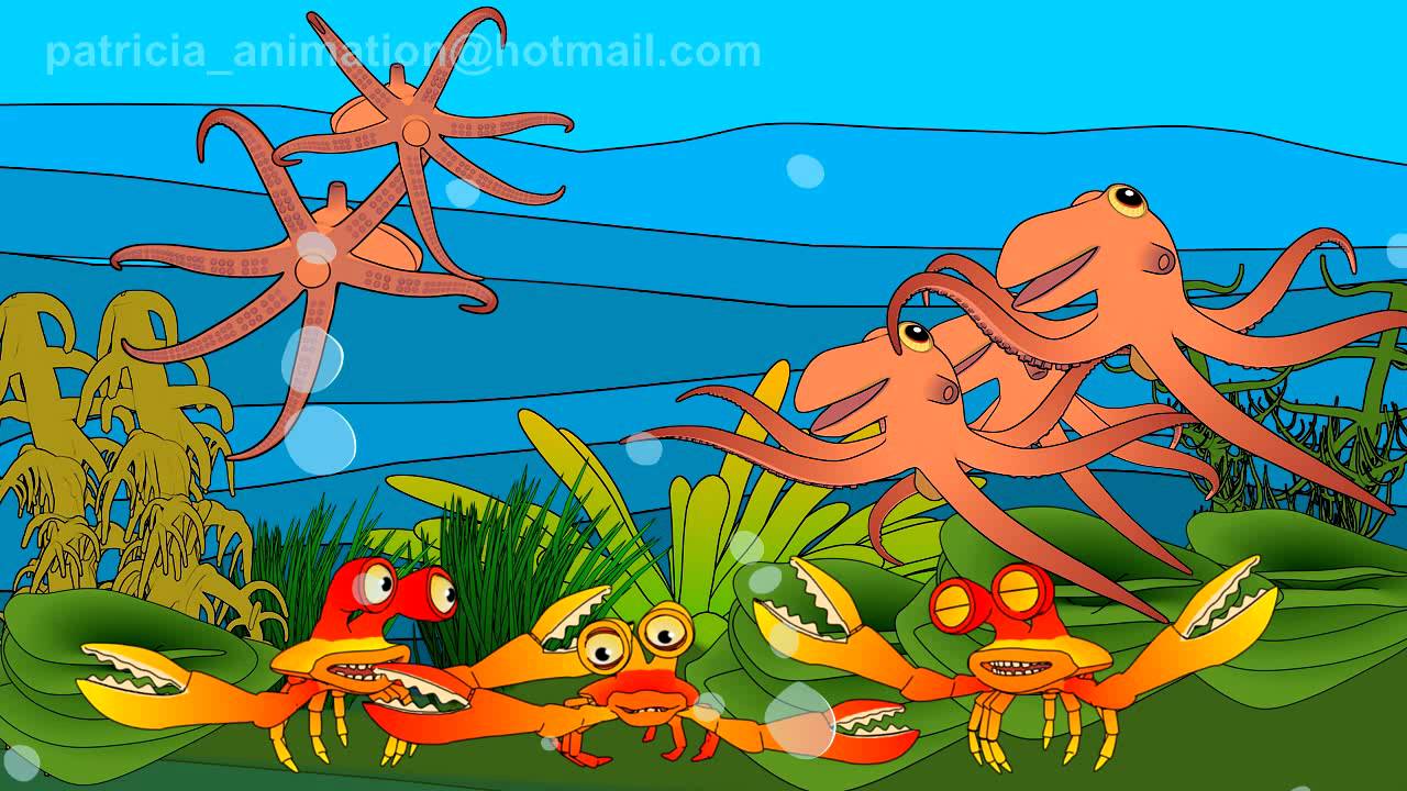 Octopus 2D Animation - YouTube