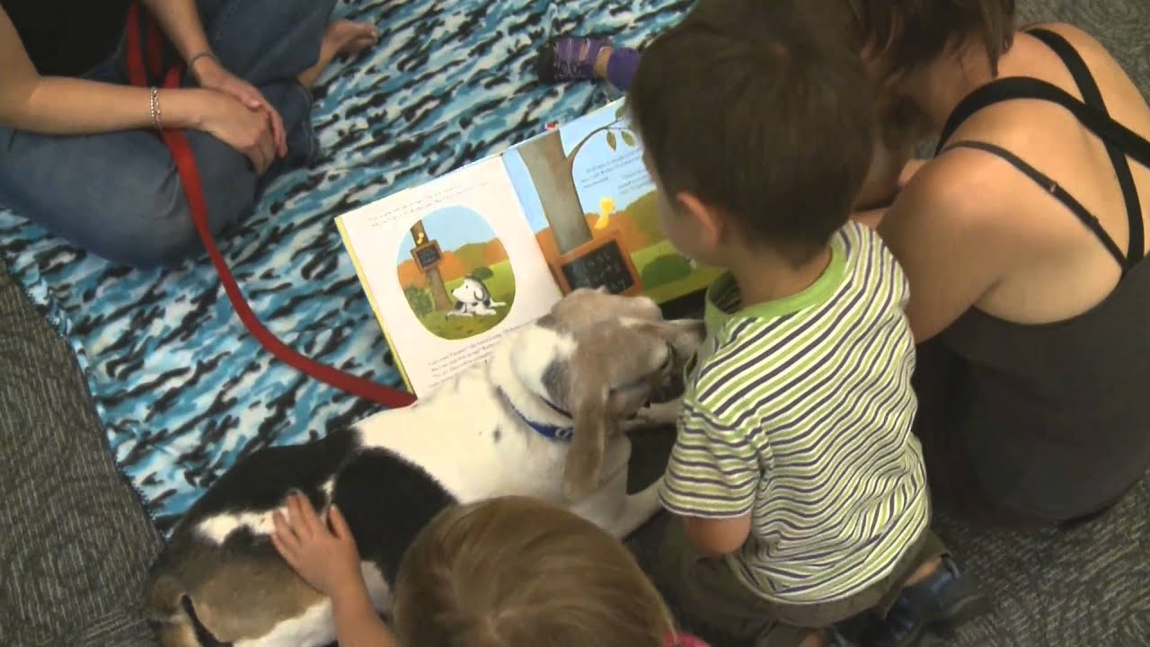 Paws to Read - YouTube
