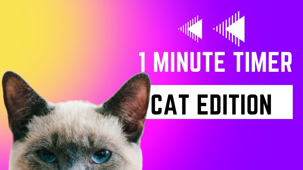 1 Minute Timer - CATS - YouTube