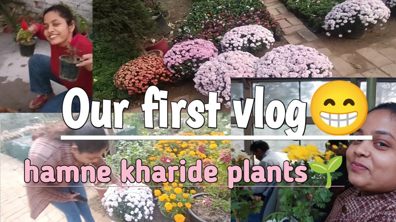 Hamne kharide plants🌱 😃|| Our first vlog|| - YouTube