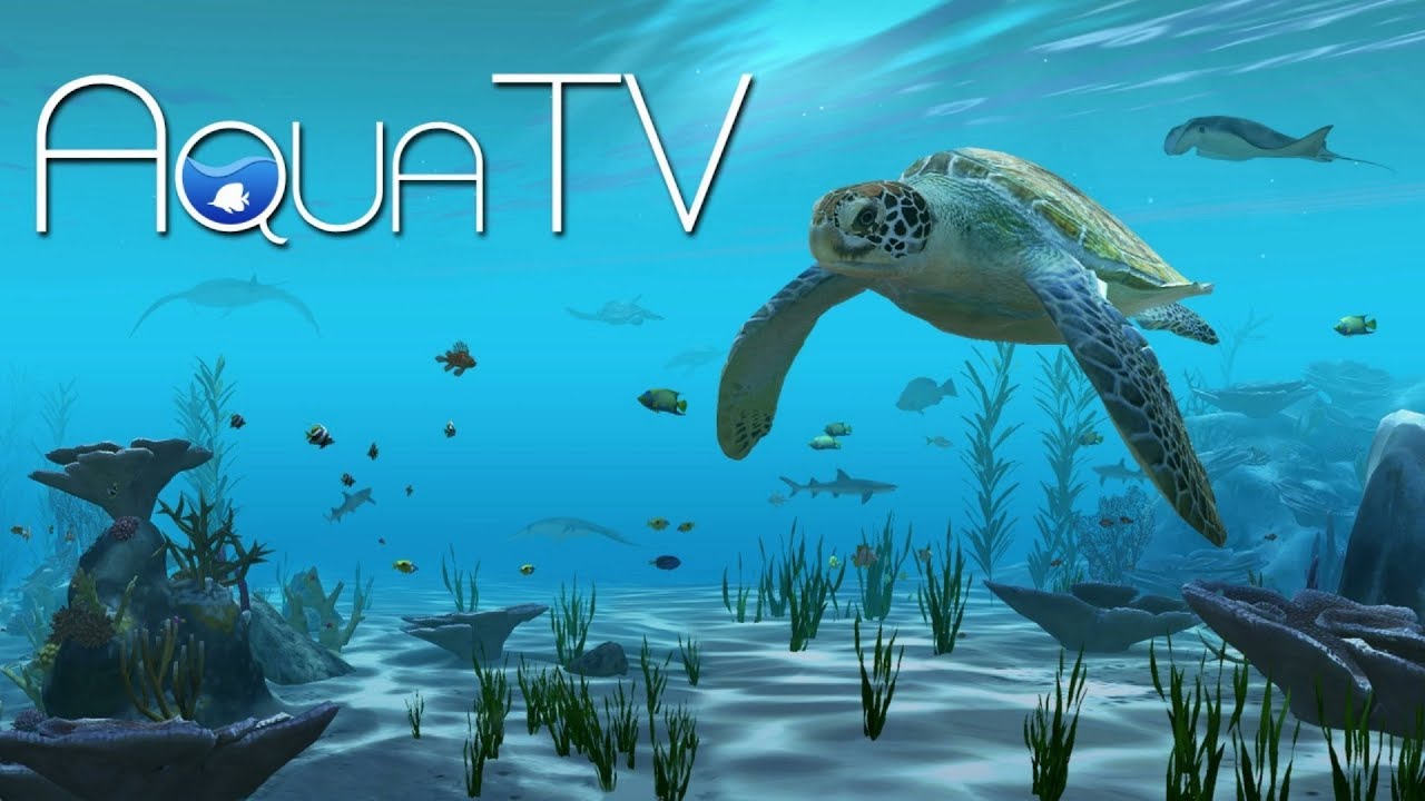 Aqua TV (Switch) First 13 Minutes on Nintendo Switch - First Look - ITA ...