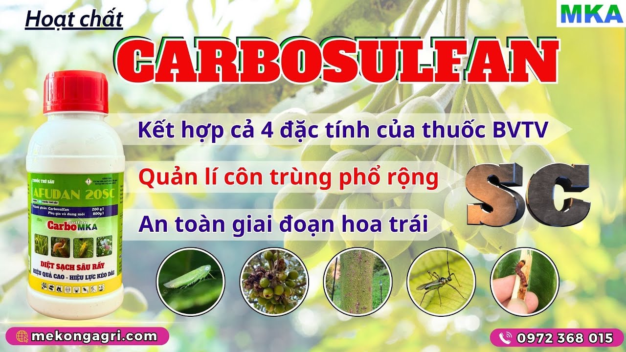 Carbo MKA - Hoạt chất Carbosulfan quản lí rầy xanh, rầy cánh phấn, sâu ...