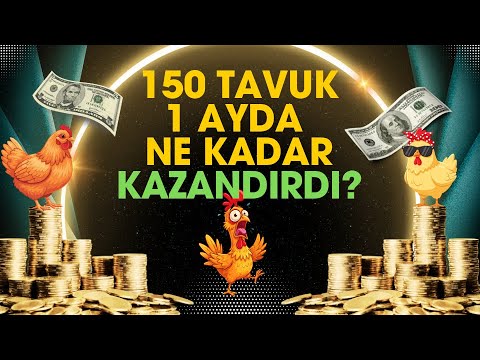 150 tavuk ayda ortalama kaç para kazandırır?
