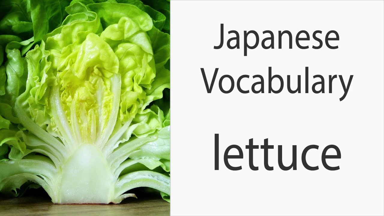 How Do You Say Lettuce In Japanese New Bmxracingthailand how-do-you-say-lettuce-in-japanese-new-bmxracingthailand