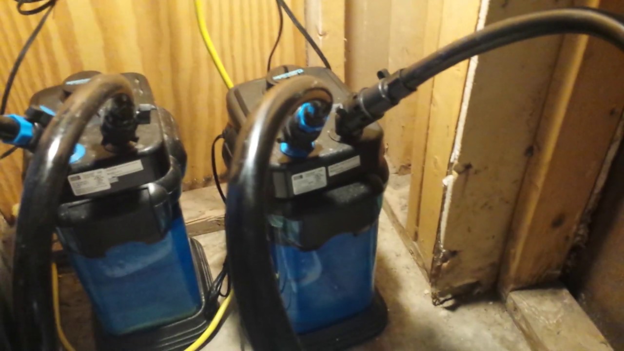 Cascade Canister Aquarium Filter Set up #1 (Disconnecting the water ...