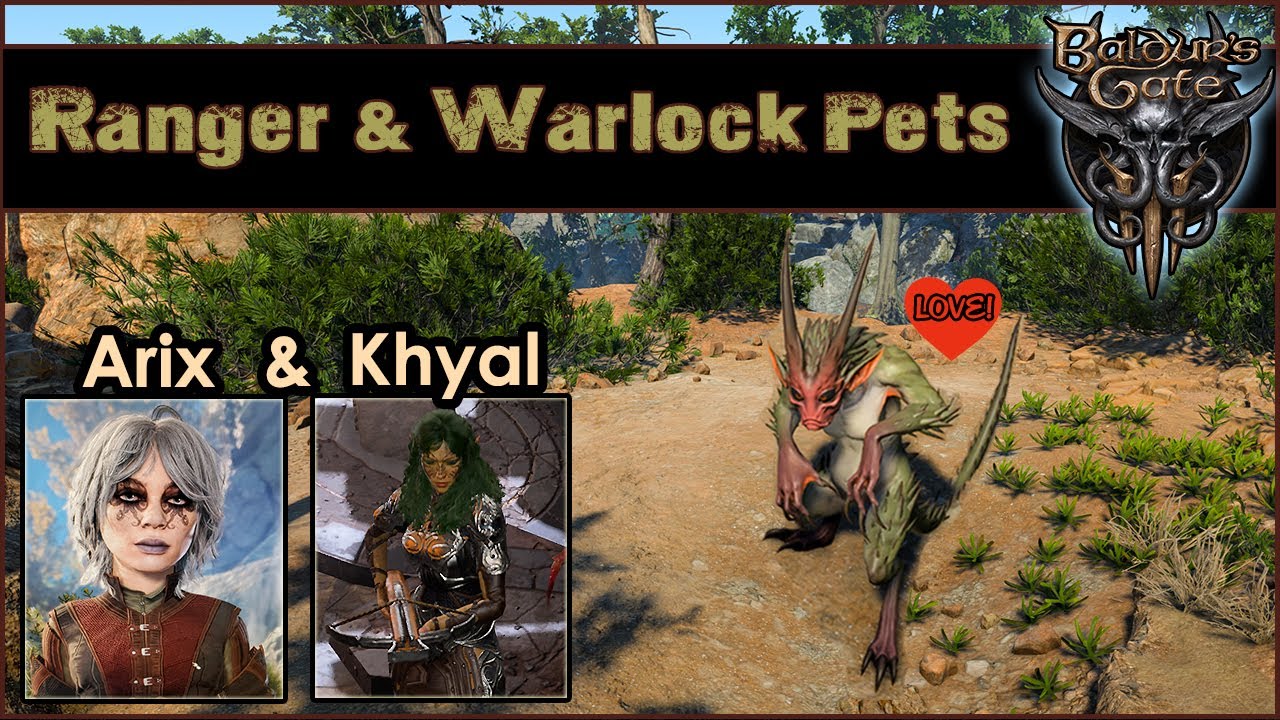 Baldur's Gate 3 Ranger & Warlock Pets (Level 3) - YouTube
