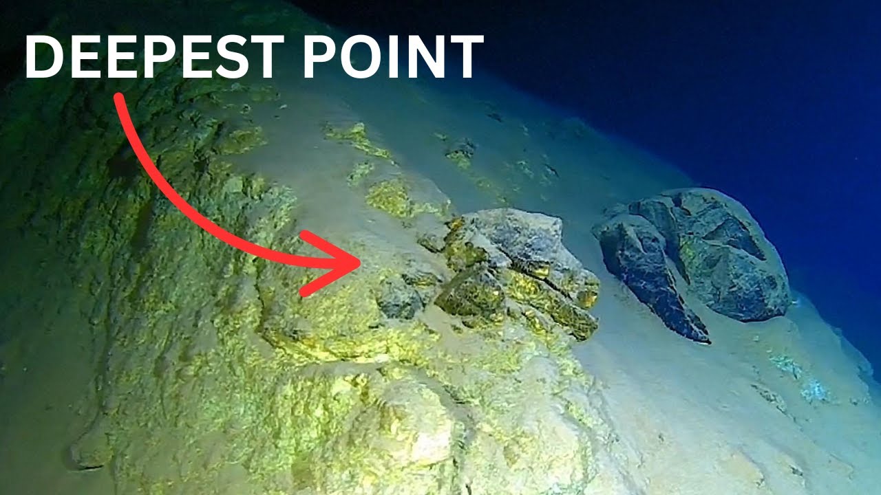 50 Ocean Mysteries That Fascinate Scientists I Science for sleep - YouTube