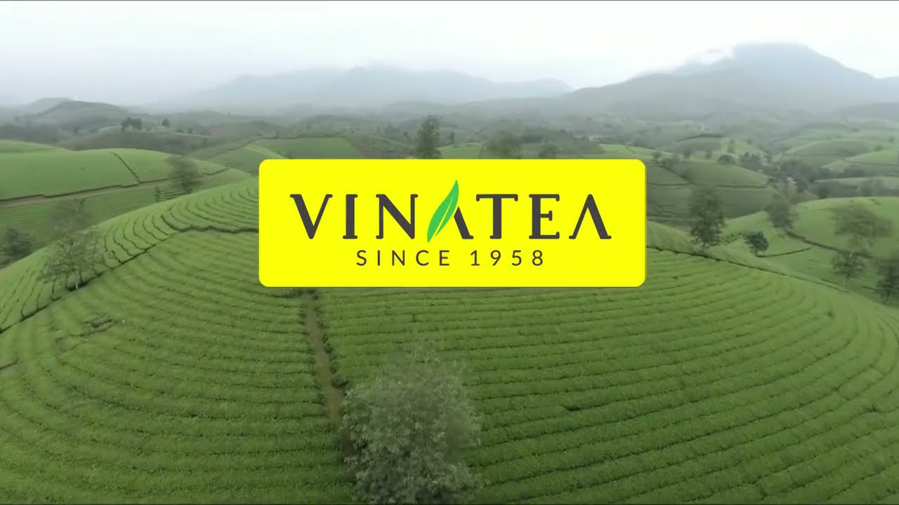 Giới thiệu về VINATEA ( Tổng Công Ty Chè Việt Nam - CTCP ) - YouTube