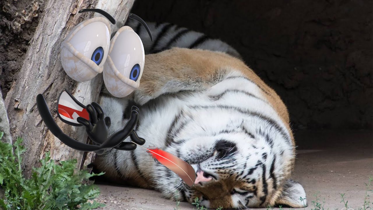 Secret Life of Things - Real Life Doodles Compilation | 3D Doodland #88 ...