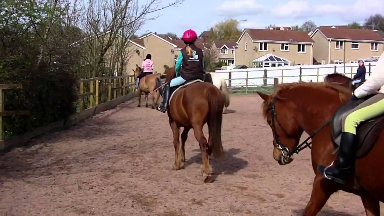 Holly Bell - Horse Riding trotting lessons - YouTube
