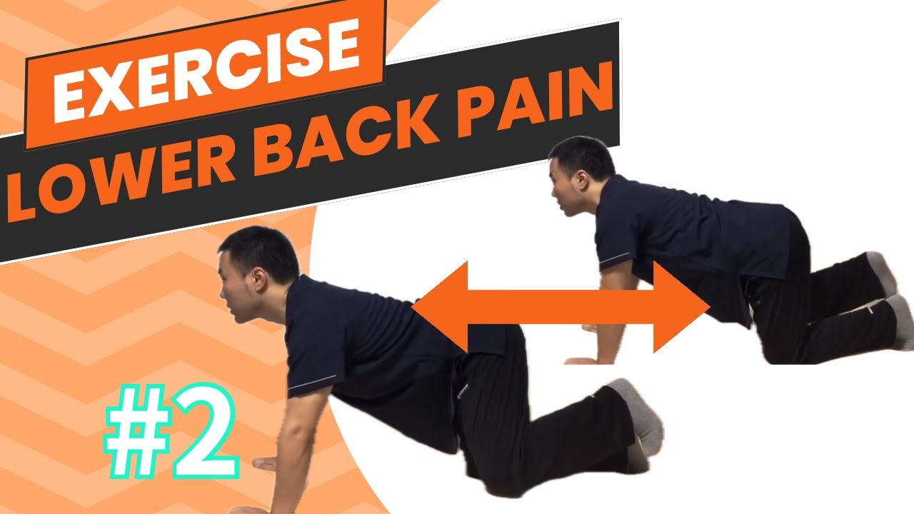 ”Crawling and leg raising Exercise” to improve lower back pain - YouTube