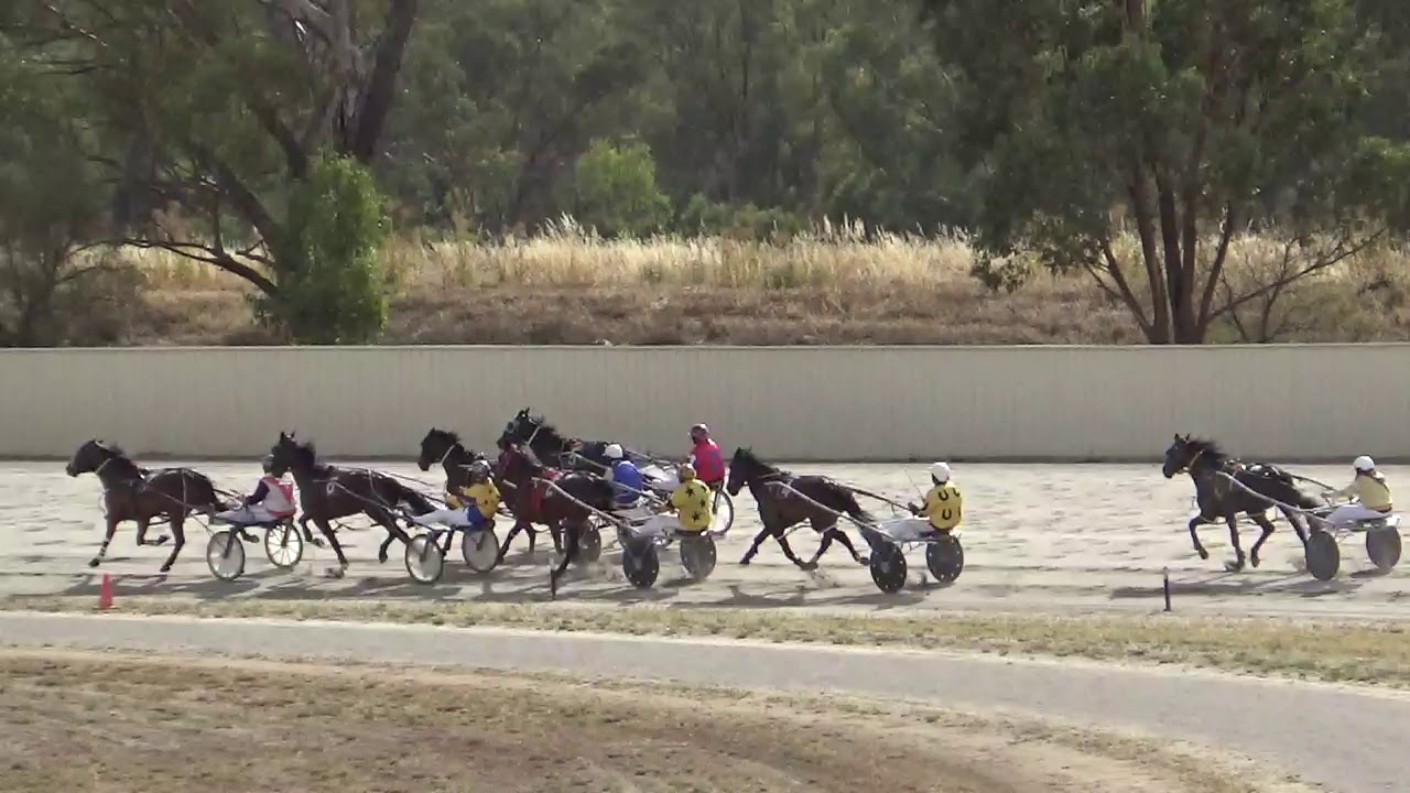 Cobram Harness Racing Trial 1 20012019 - YouTube