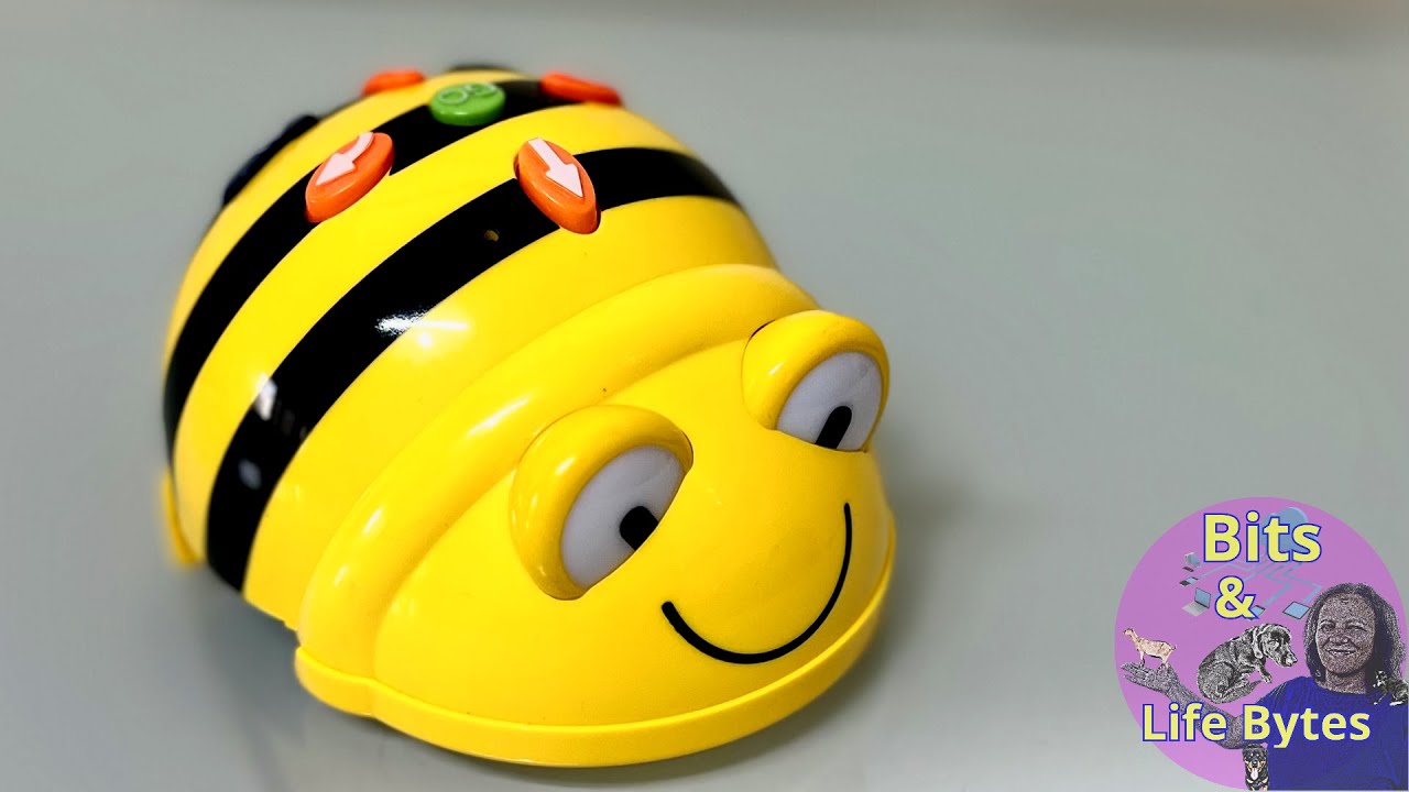 O que é o Bee-Bot e como utilizar este robô educacional - YouTube