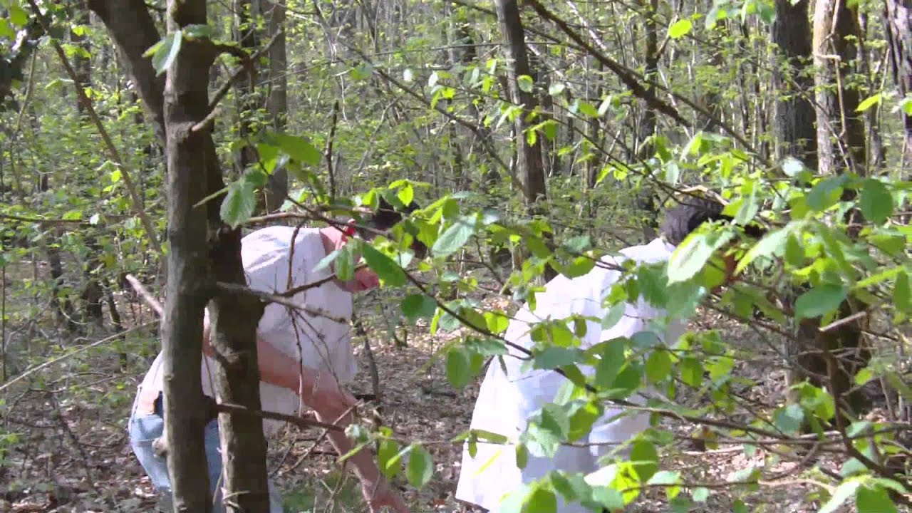 BUTCHER LUDWIG - CADAVERIUM - YouTube