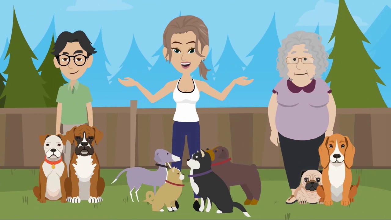 NarpsUK Pet Sitting & Dog Walking Software Video - YouTube