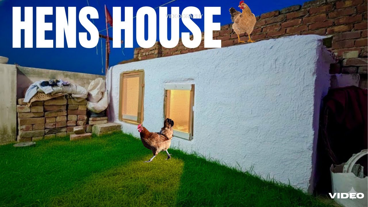 Village Style Hens House Construction | Mitti Ka Poultry Shed | Budget ...