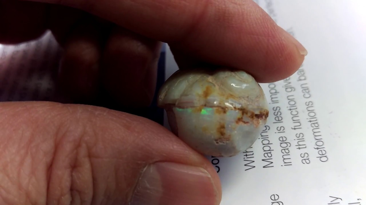 Snail shell fossil - YouTube