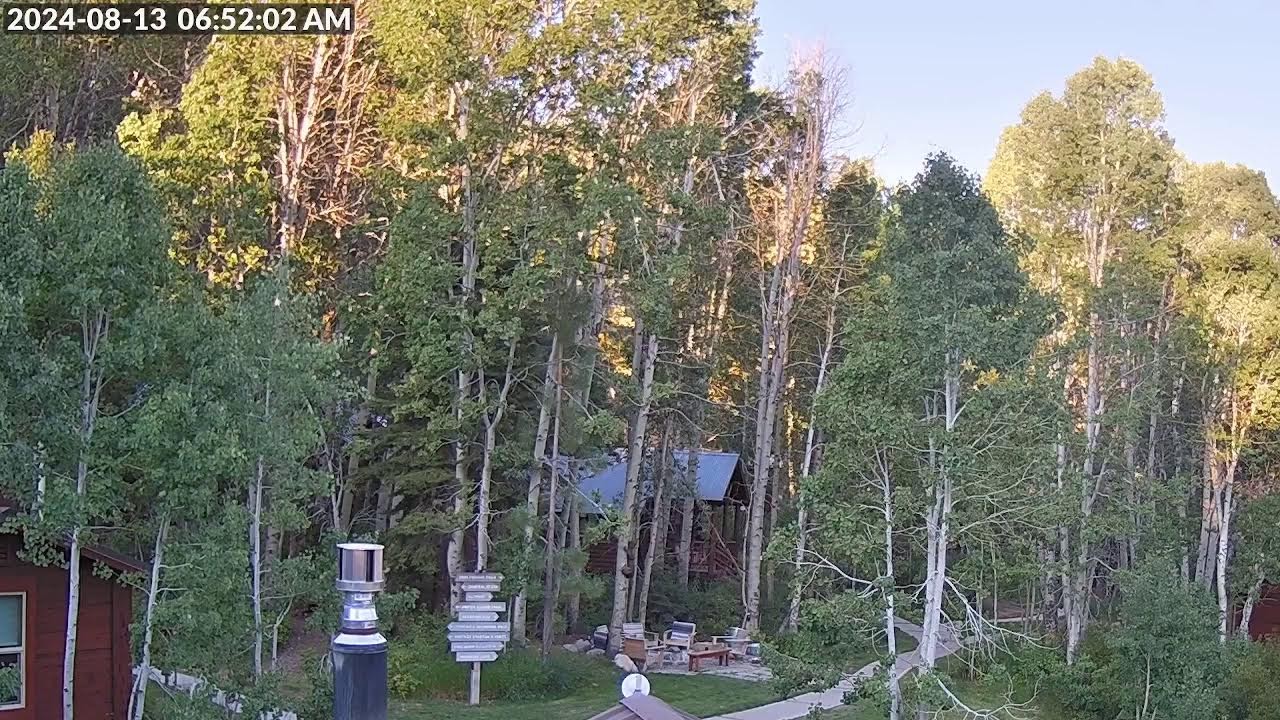 Live Leaf Cam - Desolation Hotel Hope Valley - YouTube