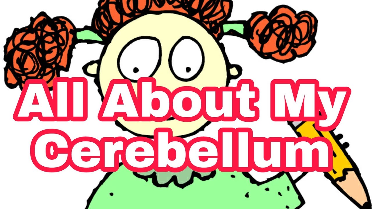 Cerebellum|Mnemonics for remember|Facts About Cerebellum - YouTube