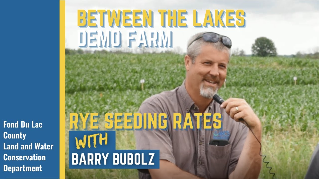 Rye Cover Crop Seeding Rate with Barry Bubolz - YouTube