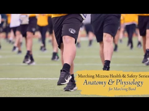 Marching Mizzou Health & Safety Series -- Anatomy & Physiology for ...