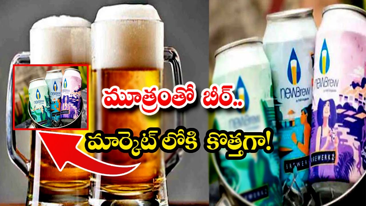 Beer From Urine | Newbrew - Turning urine into Beer in Singapore ...