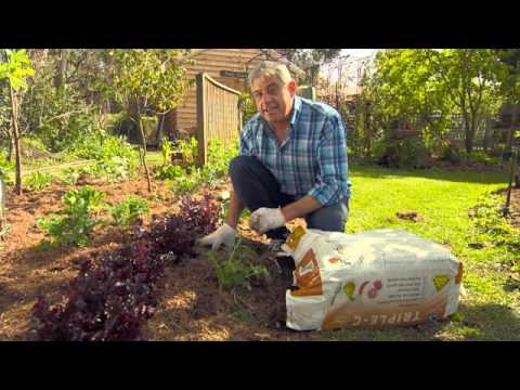 The Garden Gurus - Dsatco Triple C Mulch - YouTube