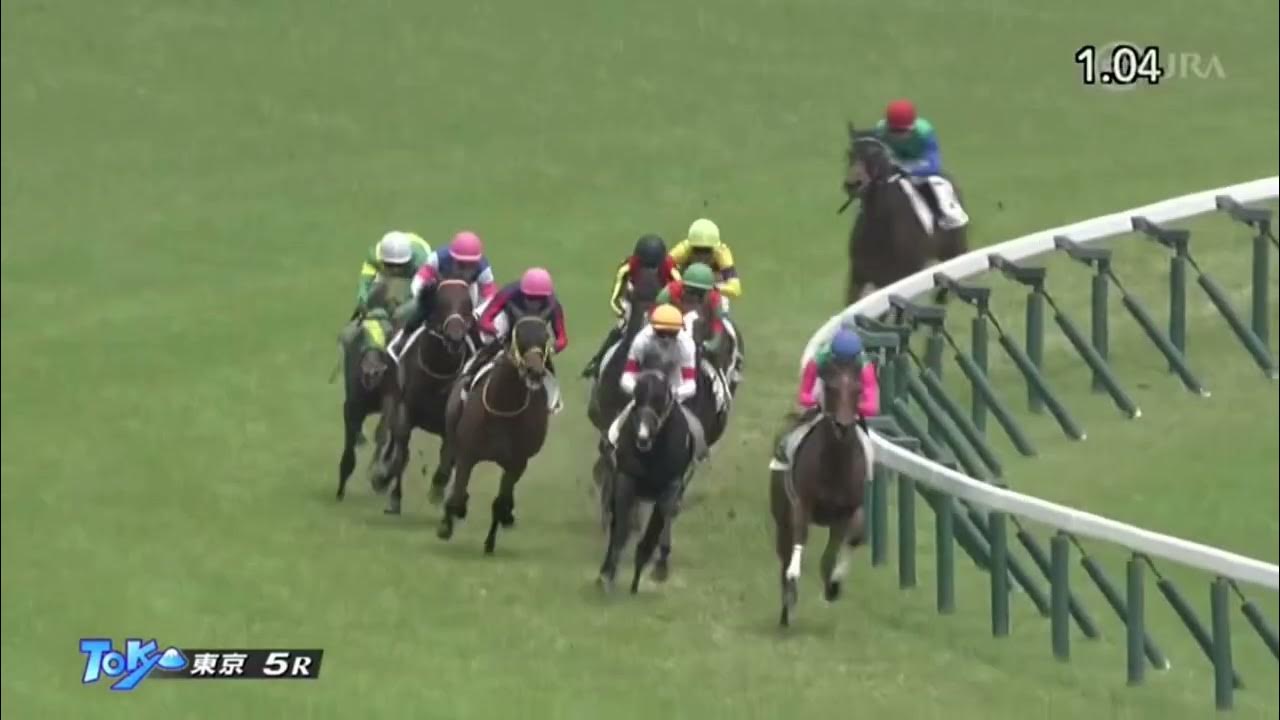 2025年6月7日東京5R 2歳新馬 芝1600m ディバインウインド - YouTube