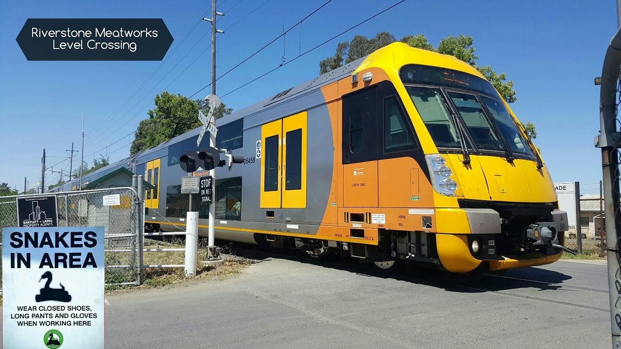 Sydney Trains Vlog 1373: Riverstone Meatworks Level Crossing + Snake ...
