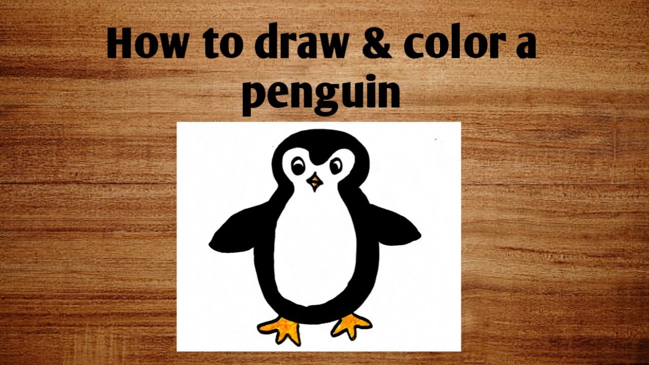 How to draw a penguin and color - penguin drawing easy steps - YouTube