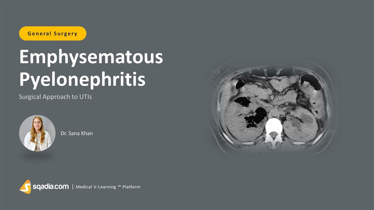 Surgical Approach to UTIs | Emphysematous Pyelonephritis - YouTube