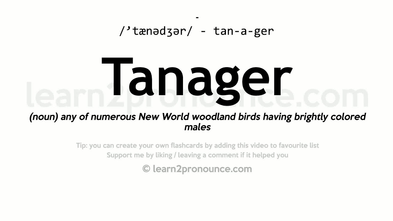 Tanager pronunciation and definition - YouTube
