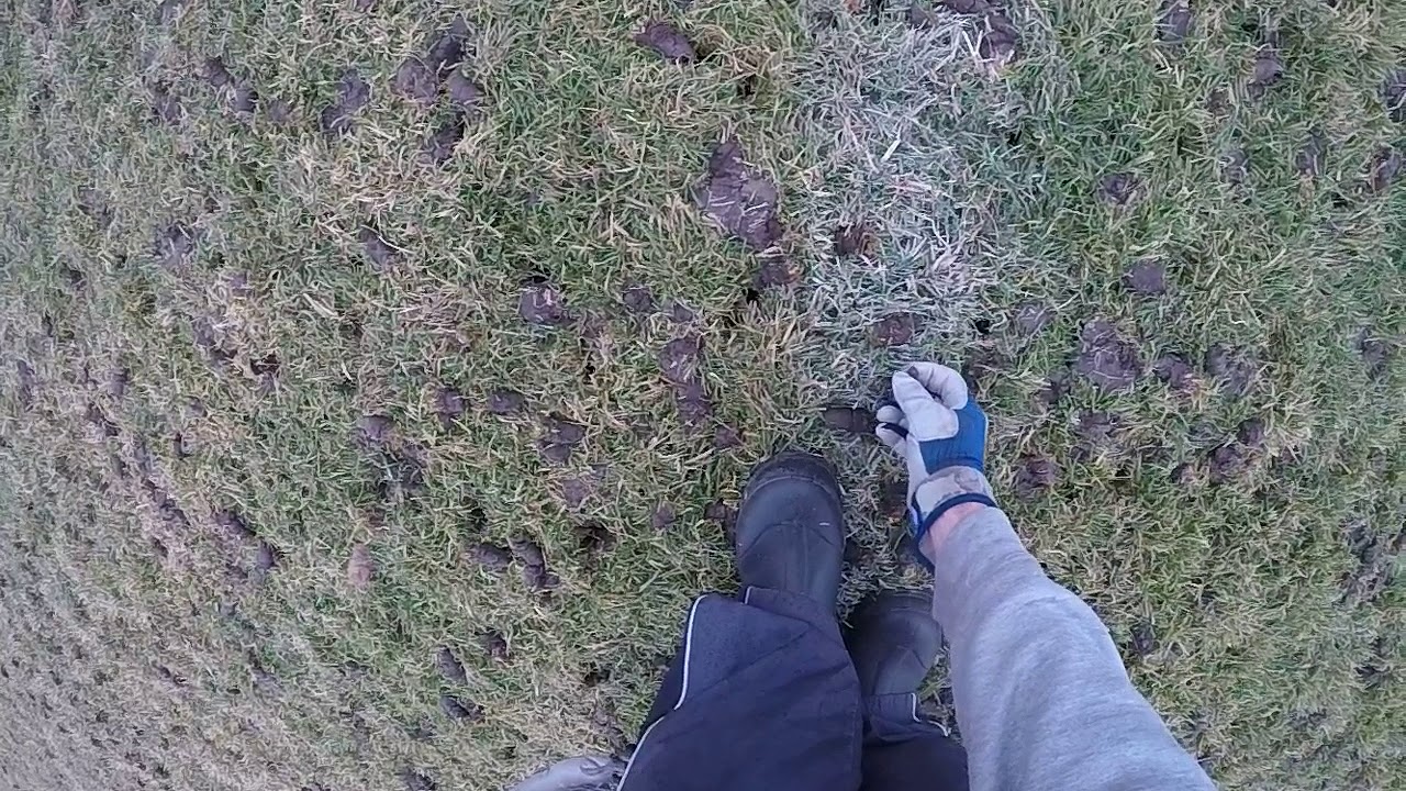 "Take Your Tracking Game to the Next Level: Laying an IGP Track Part 1 ...