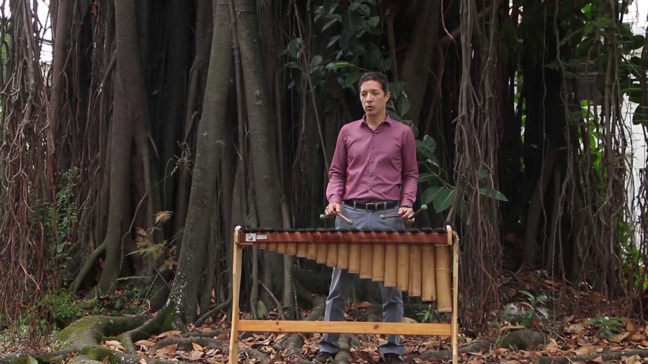DE MARIMBO A MARIMBA (Oí Marimbí) - YouTube