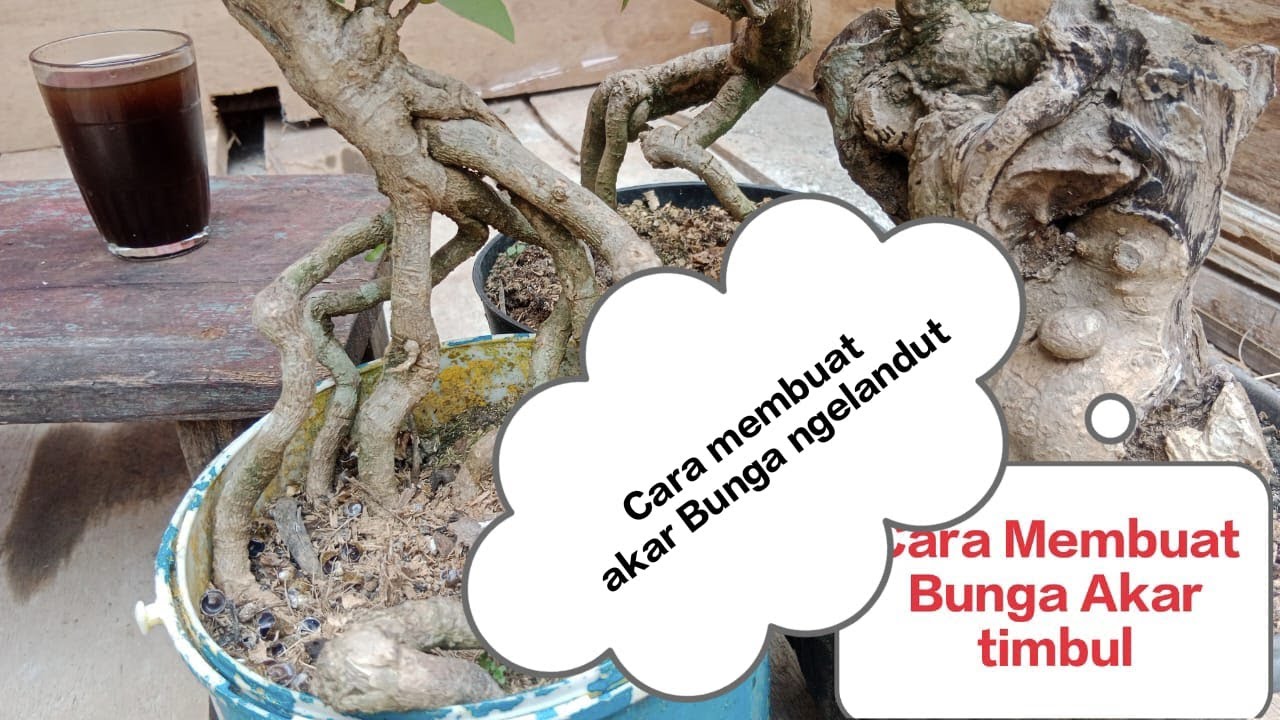 Cara Membuat Bunga Akar timbul - YouTube